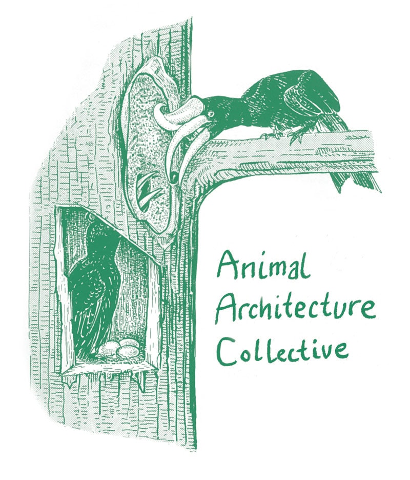 Animal Architecture Collective Residency at Spreepark Artspace in ...